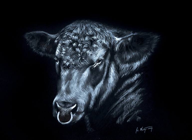 Black Bull Drawing by Iain Montgomery | Saatchi Art
