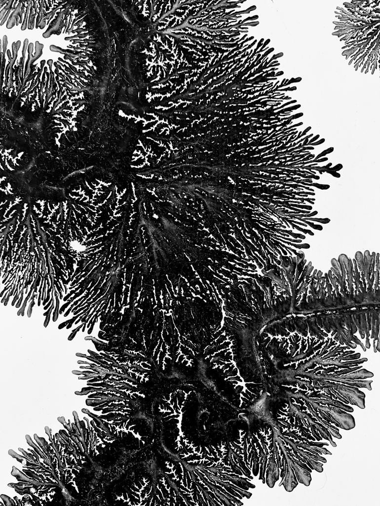 'Will do so, itself' Painting by Maria Baker | Saatchi Art