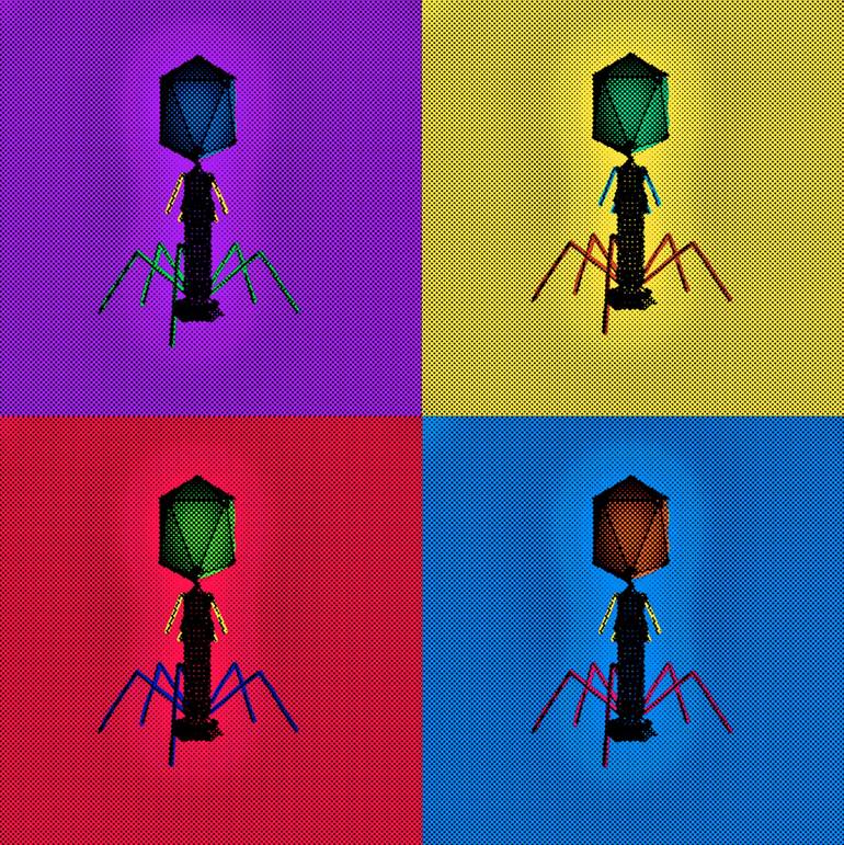 T4 bacteriophages Printmaking by Drew Provan | Saatchi Art