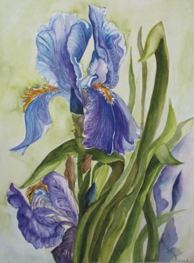 Iris Painting by Sandhya Prasad | Saatchi Art
