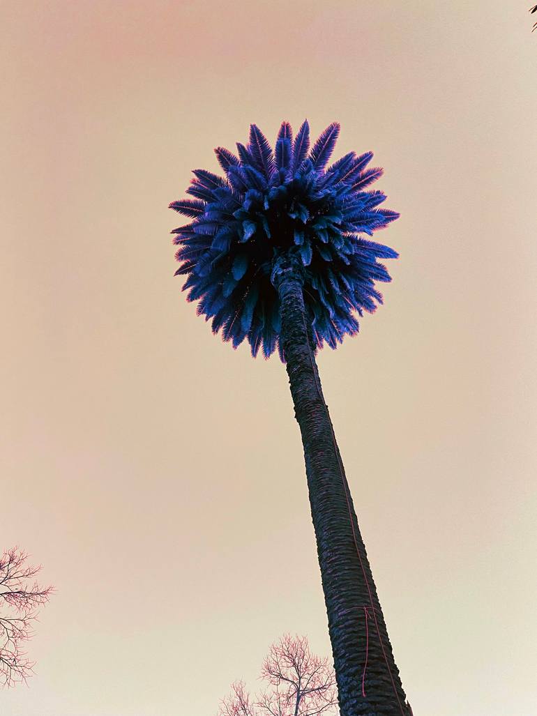 Untitle Photography by Marie Bernardo | Saatchi Art