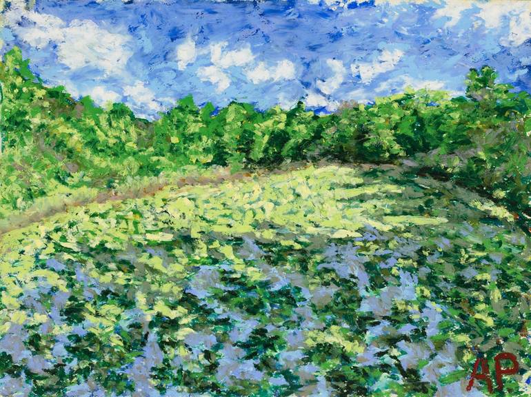 Lake Sheldon Series: Sunbeams over Sheldon Marsh Painting by Anastasia ...