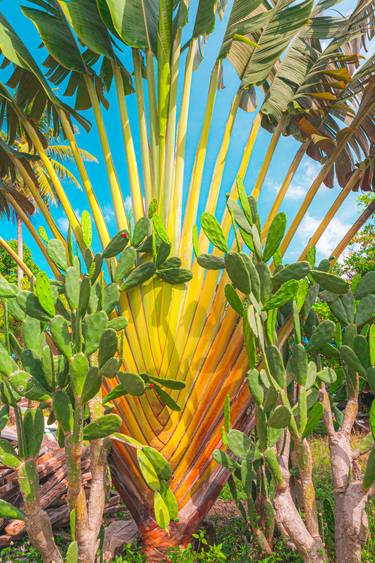 Cristina Roldán Artworks | Saatchi Art