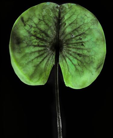 Devin Walter Artworks | Saatchi Art