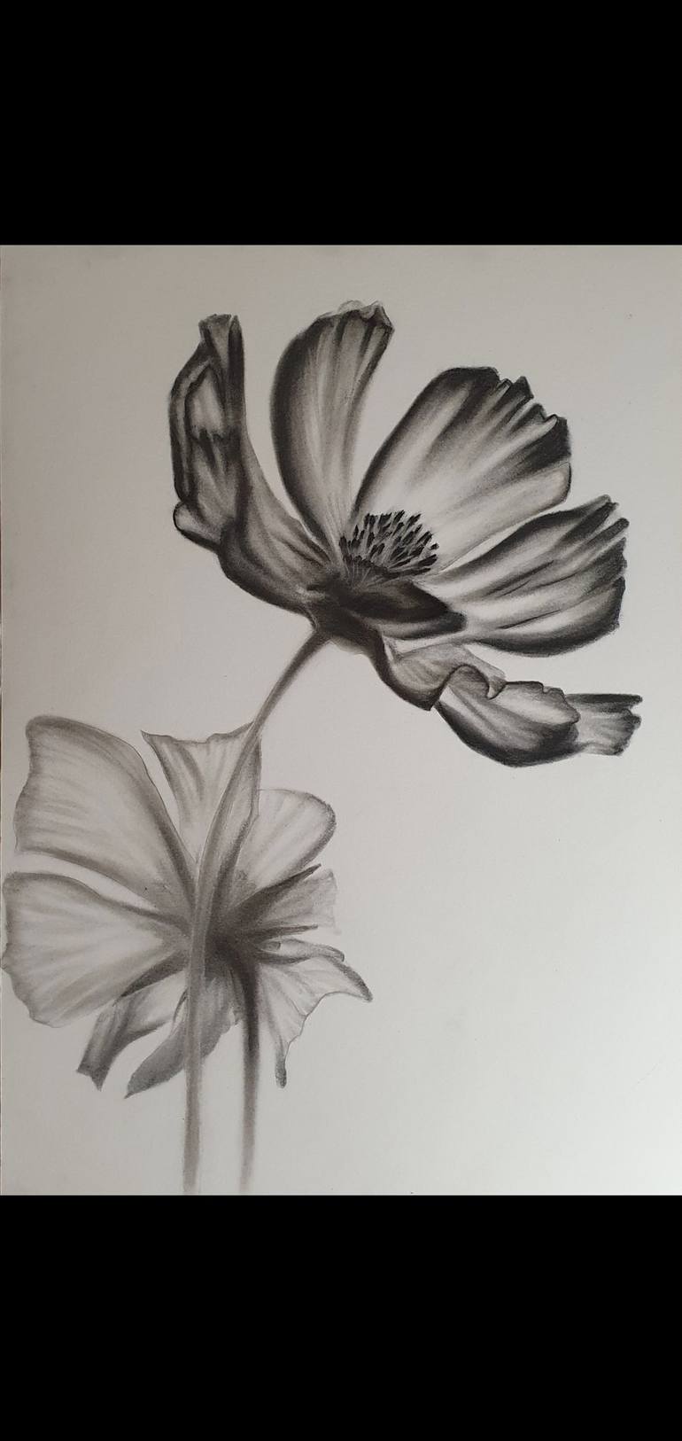 Pure feeling Drawing by Niloufar Khandankouraem | Saatchi Art