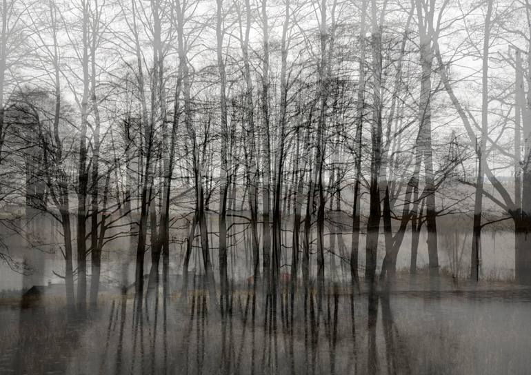 Vibration III Photography by Gatis Vanags | Saatchi Art