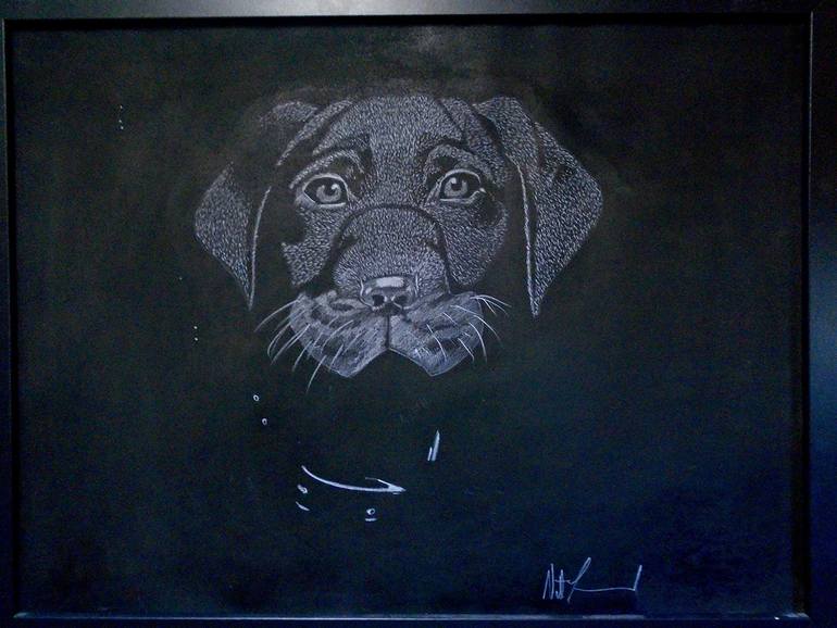 Black Lab Drawing by Nathan Townsend | Saatchi Art