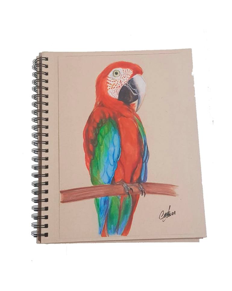 Arara Drawing by Caroline Lourenzone | Saatchi Art