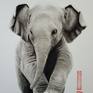 Baby Elephant 03 Drawing by Arthur Heng | Saatchi Art