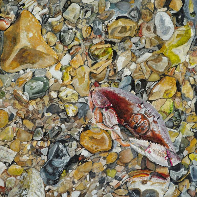 Washed up on the beach Painting by Martin Scrase | Saatchi Art