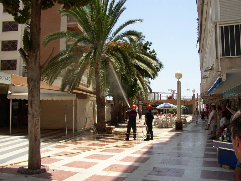 Hot Palm 2 Photography by Mark Shearman | Saatchi Art