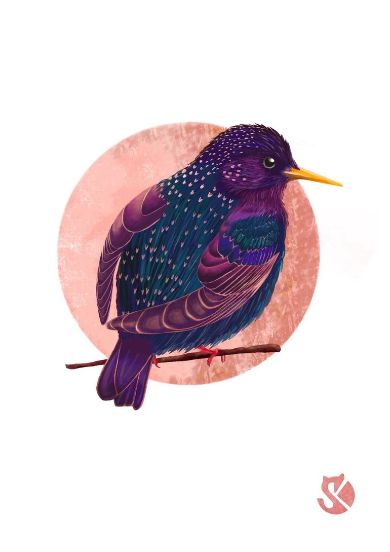 Bird of heaven Drawing by savitri kumala dewi | Saatchi Art