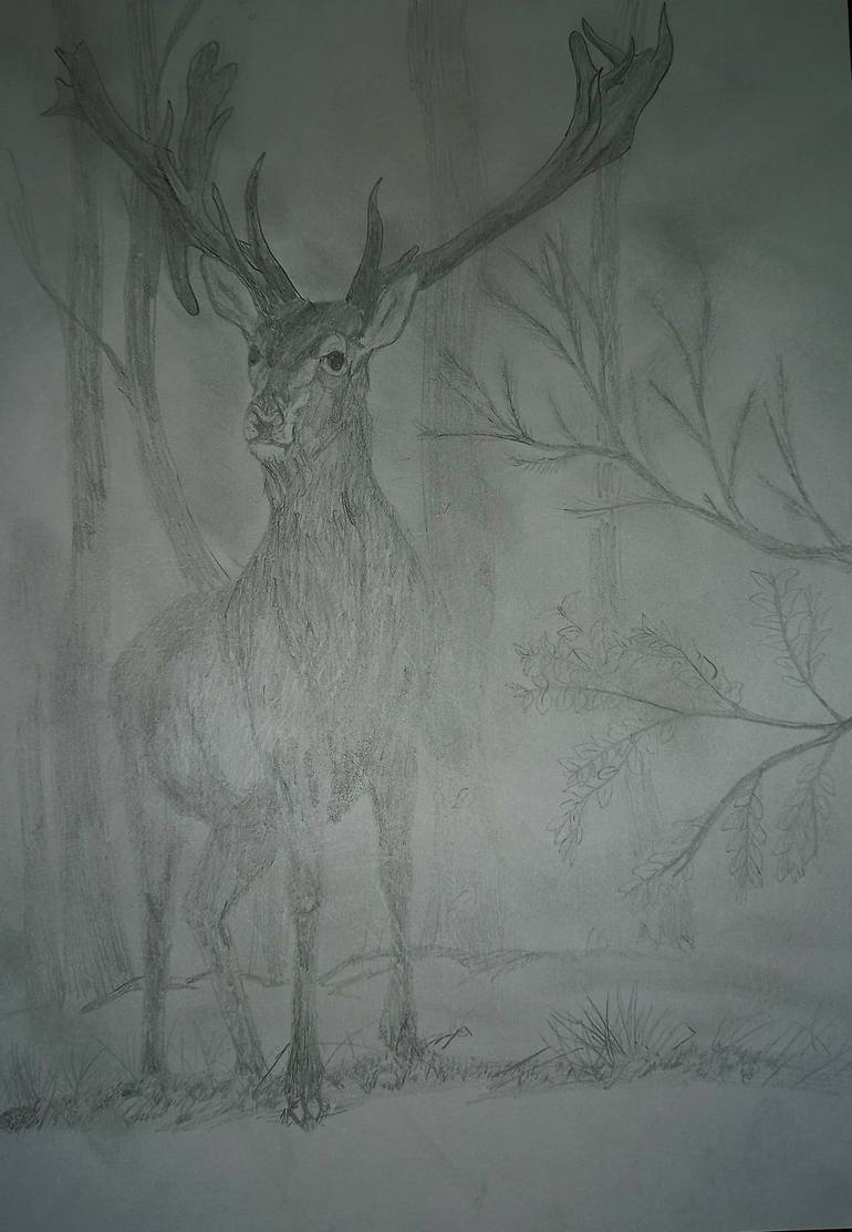 The deer in the jungle (simple graphite drawing) Drawing by Waruna ...