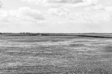 Elizabeth Watson | Saatchi Art