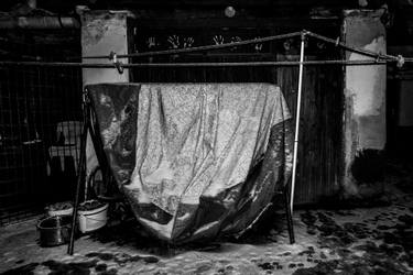 Elizabeth Watson | Saatchi Art