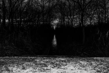 Elizabeth Watson | Saatchi Art