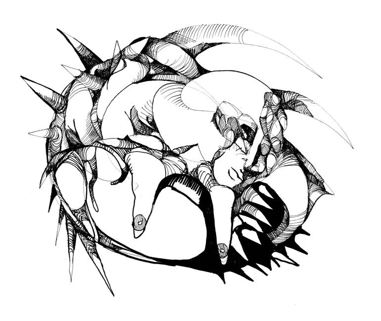 bird Drawing by Louise Chang | Saatchi Art