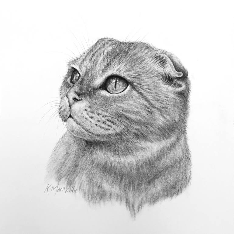 Apollo Drawing by Kristy MacNeillie | Saatchi Art