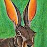 Jack Rabbit Painting by Teal Buehler | Saatchi Art