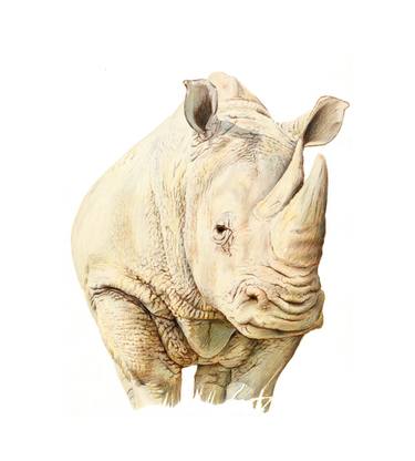 Michael Walcott Artworks | Saatchi Art