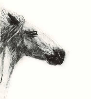 Pea Ramshaw | Saatchi Art