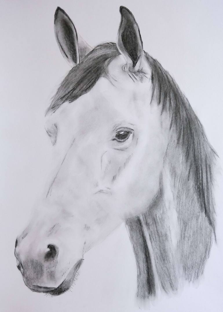 Balos Drawing by Jane Day | Saatchi Art