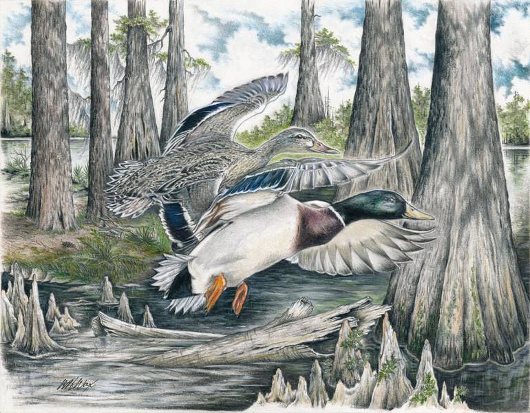 Bistineau Landing Drawing by WH Wax | Saatchi Art