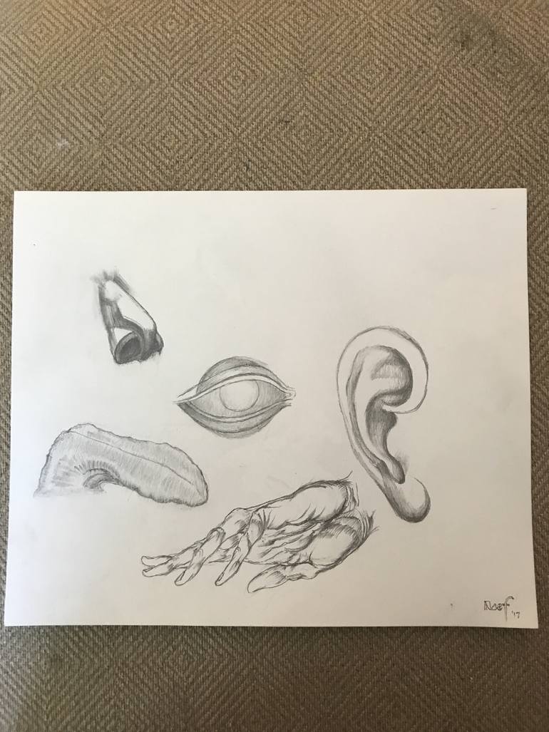 The Five Senses Drawing by Naef Basile | Saatchi Art