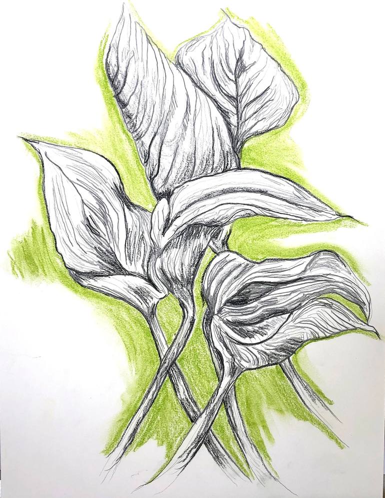 Hostage of Beauty Drawing by Jim Feldman | Saatchi Art