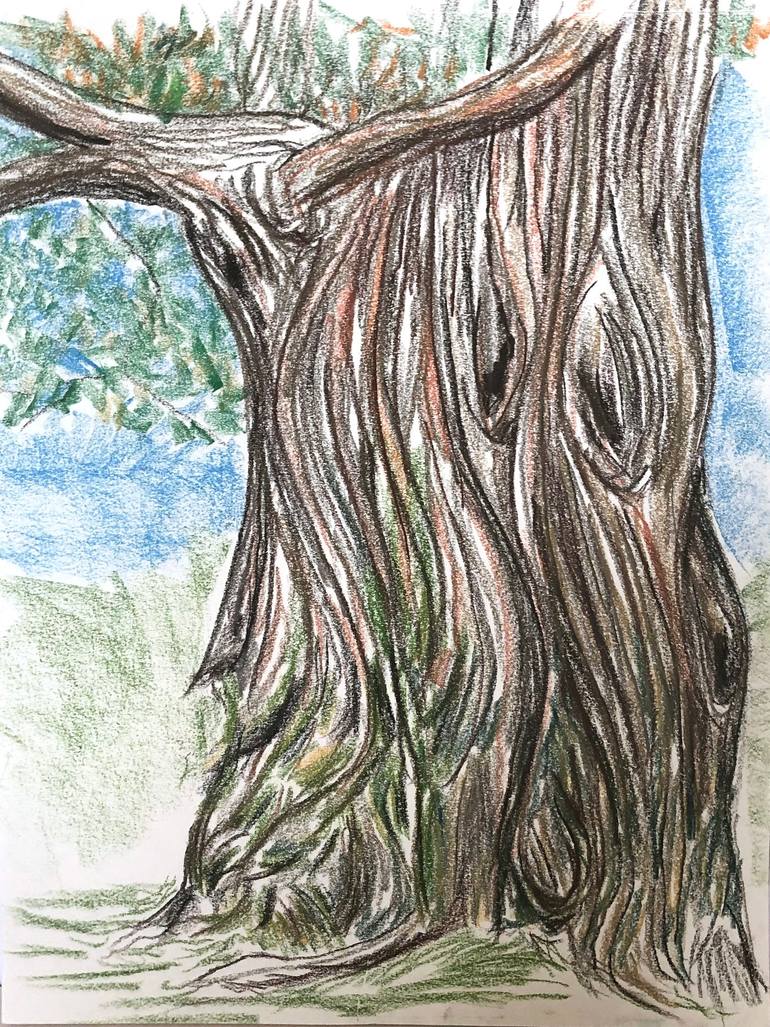 Ancient One Drawing by Jim Feldman | Saatchi Art