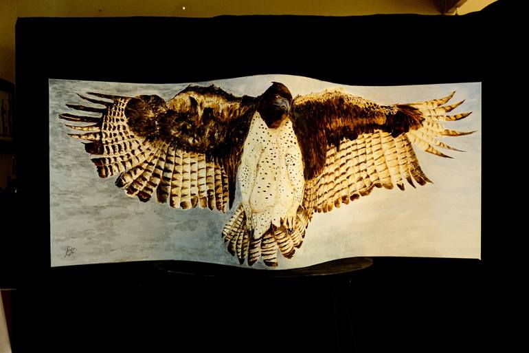 Endangered Martial Eagle ME109 Painting by Brian 'Br' Rogers | Saatchi Art