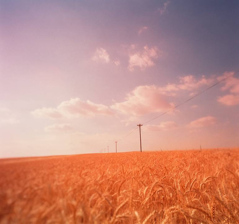 Glorious Photography by Martin Barraud | Saatchi Art