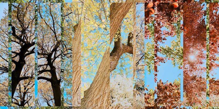 Urban Canopy Triptych Photography by Sarah Ikerd | Saatchi Art