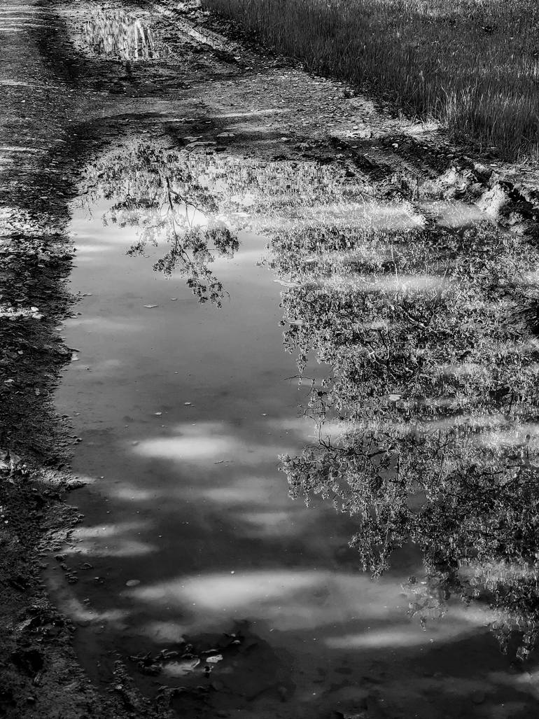 Reflections Photography Black And White