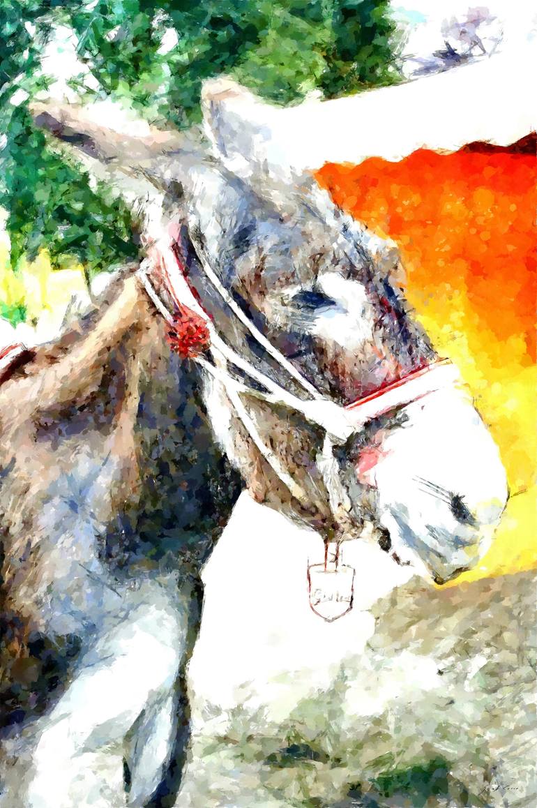 Muzzle of donkey Painting by Giuseppe Cocco | Saatchi Art