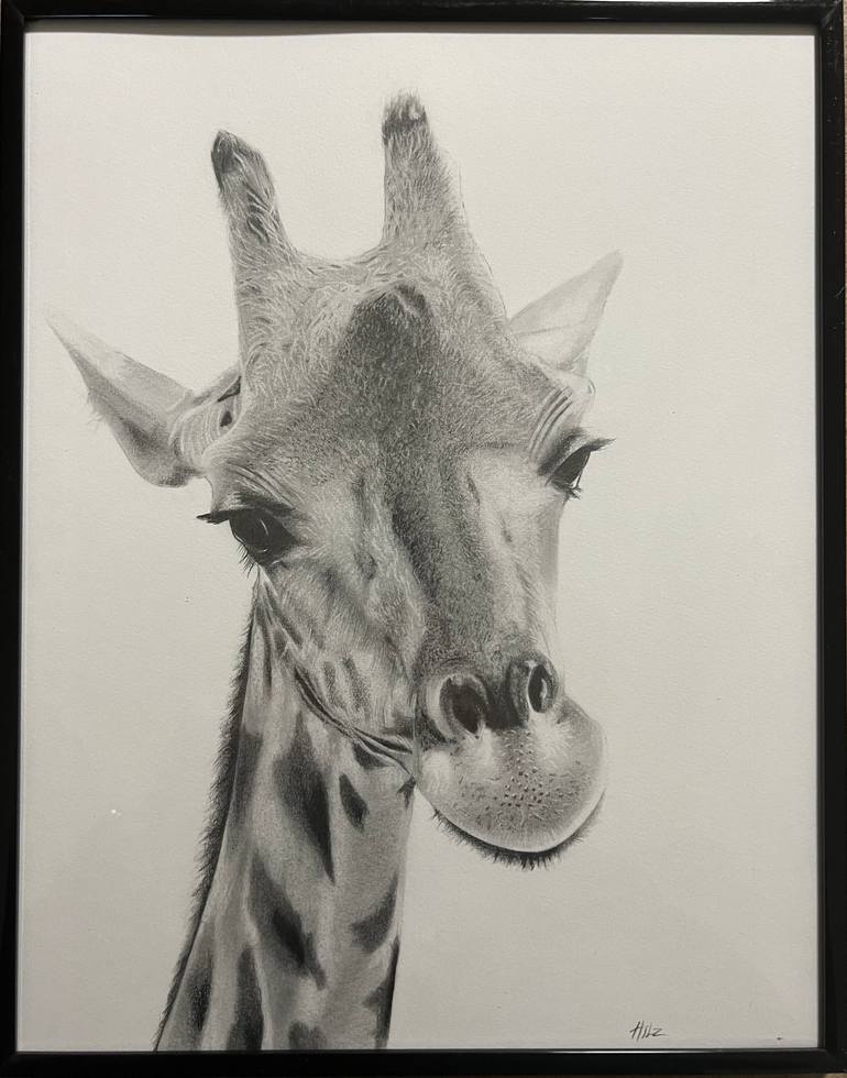 Giraffe Drawing by Dmytro Hilz | Saatchi Art