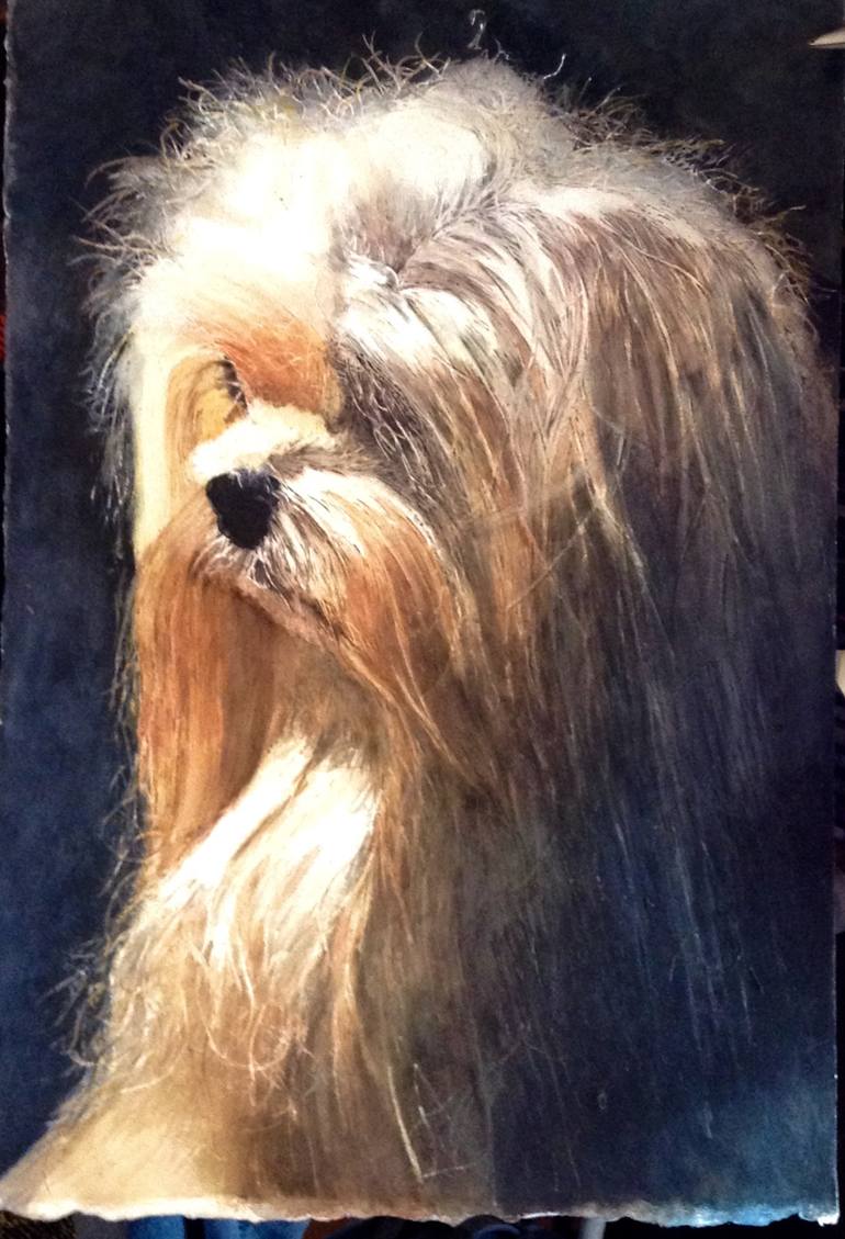 Yorkie @ nite Painting by James Dailey | Saatchi Art