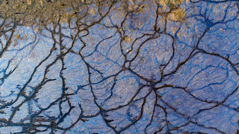 Glass Photography by Stuart Murphy | Saatchi Art