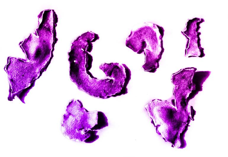 Garbage series n.5 Photography by Diego Callegari | Saatchi Art