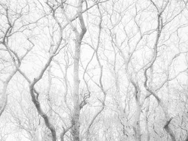 John Russo | Saatchi Art