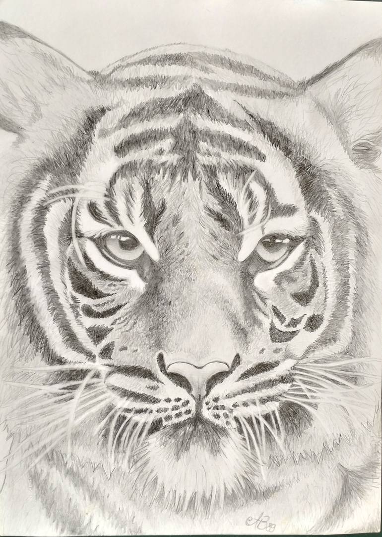 Coraggio Drawing by Anna Bellin | Saatchi Art