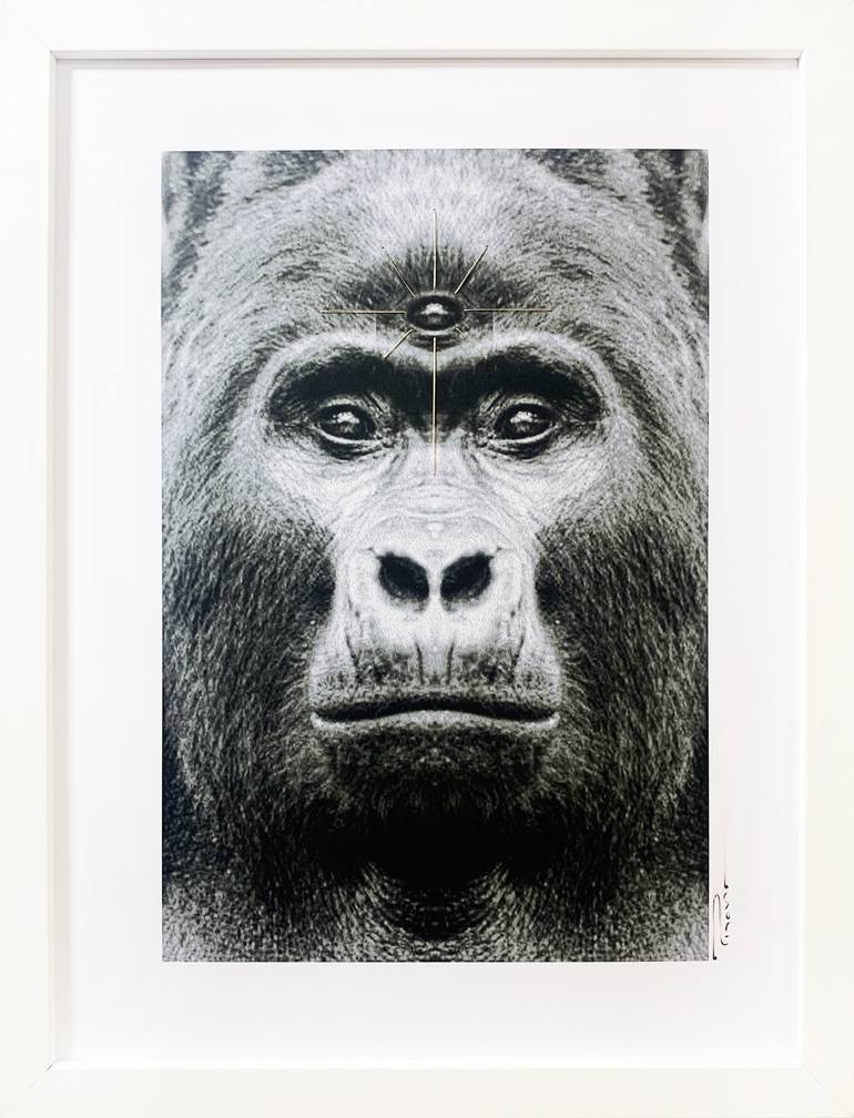 Sentient Animalia - Gorilla Mixed Media by Sentient Animalia | Saatchi Art