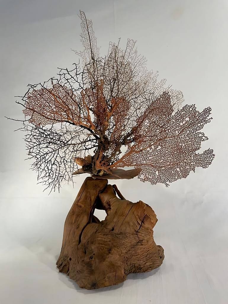 ARBORESCENCE Sculpture by Corol Corol | Saatchi Art