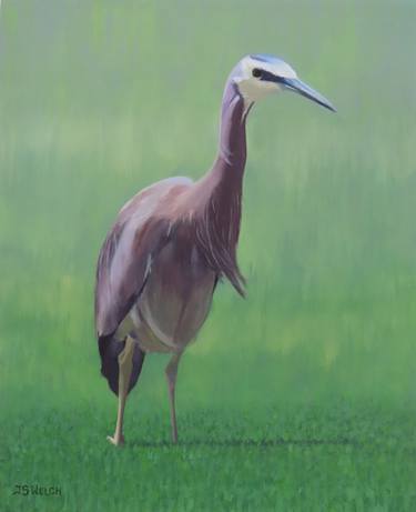 Jacki Welch | Saatchi Art