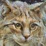 Lynx On A Winter Night Painting by Natalya Vershkova | Saatchi Art