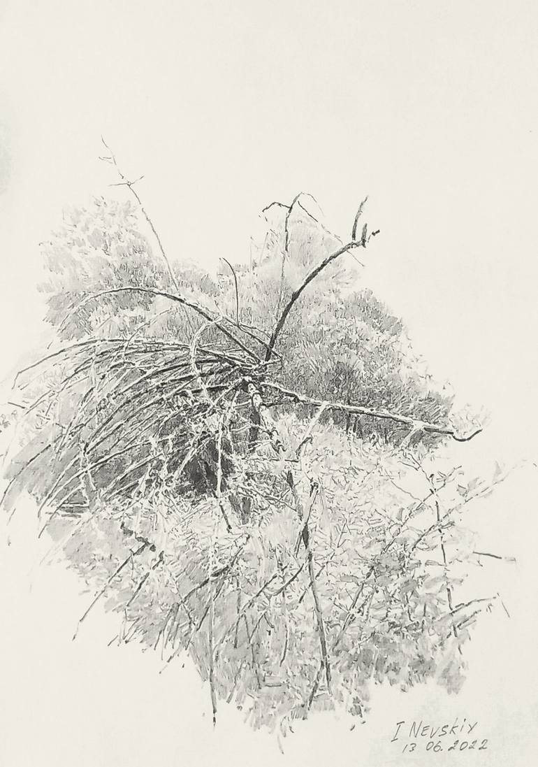 Dry Branches Drawing by Igor Nevsky | Saatchi Art