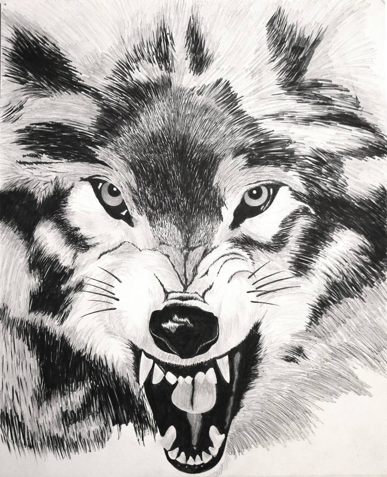 The Cold Truth Drawing by Jeremy Schwarz | Saatchi Art