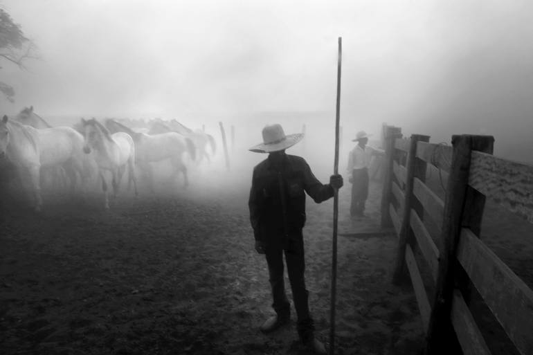 PANTANAL IX Photography by Izan Petterle | Saatchi Art