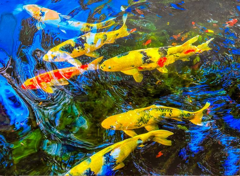 Koi Family 5 Painting by Anthony Kolens | Saatchi Art