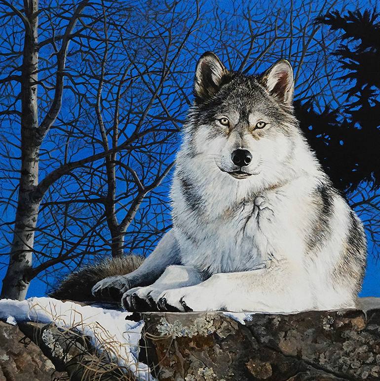 ‘Queen of All She Surveys’ - Timber Wolf Painting by Laara Cassells ...